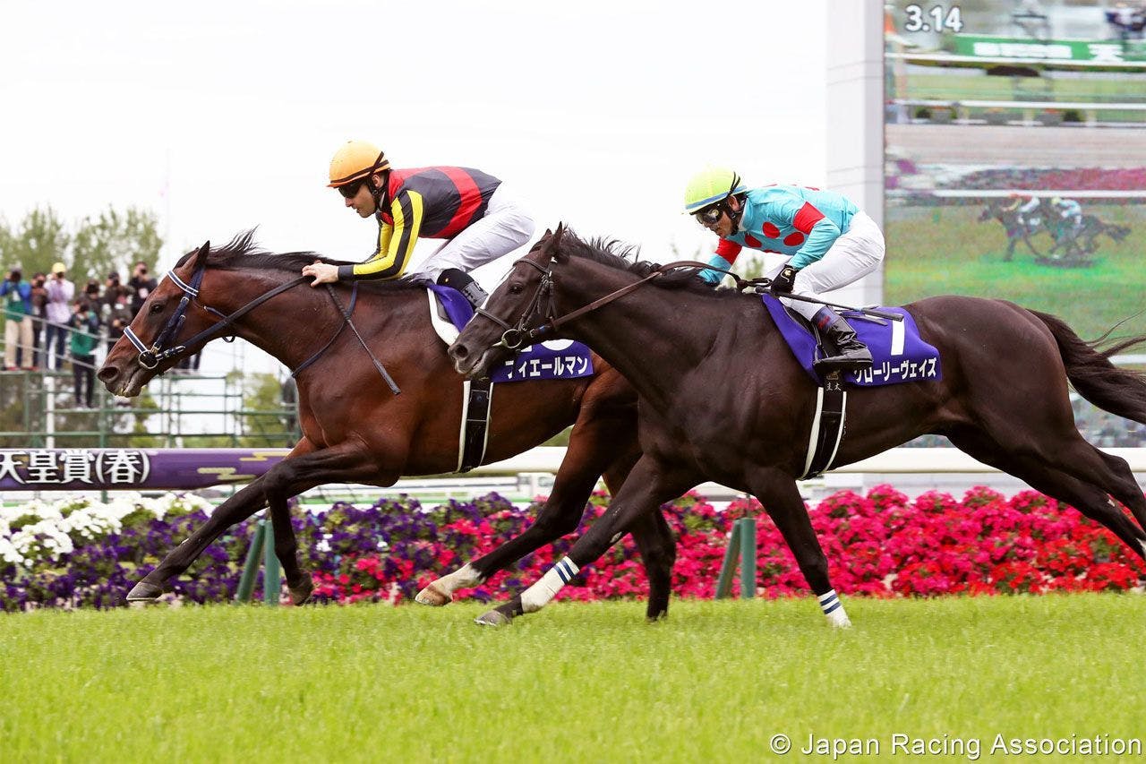 Preview for the Japanese Tennō Shō | TwinSpires