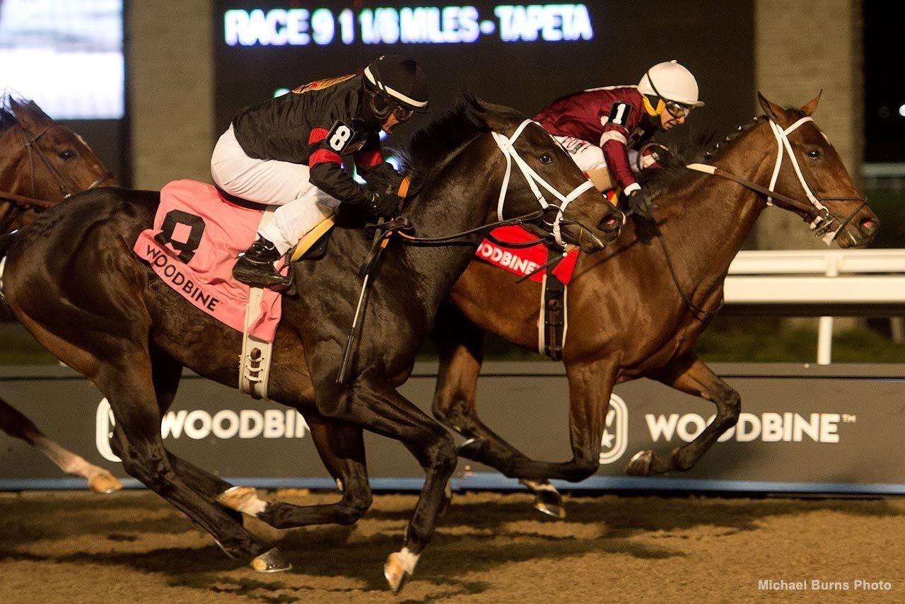 Turfway Park Stakes Plays for March 14 | TwinSpires