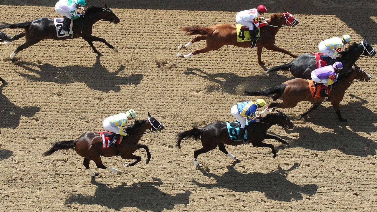 Kentucky Derby Maiden Watch: By George, Prate enhance Into M | TwinSpires