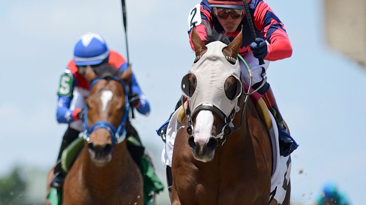 Holland's North American Free Racing Plays for Dec. 22 | TwinSpires