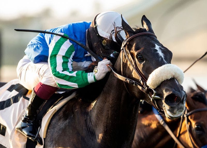 Del Mar: Exotics plays for the John Mabee Stakes | TwinSpires