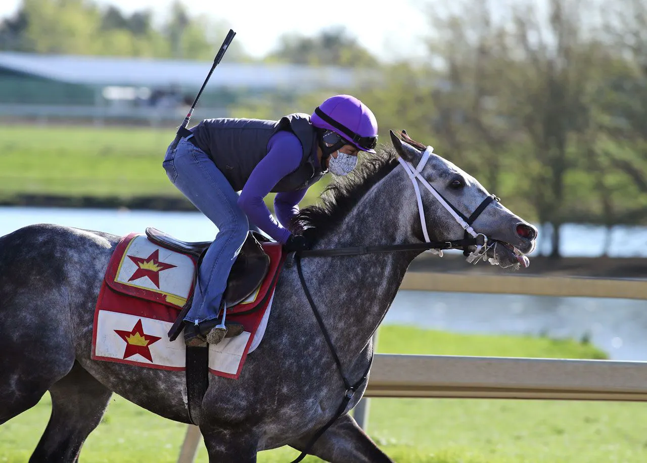 Holland's North American Free Racing Picks for July 22 | TwinSpires