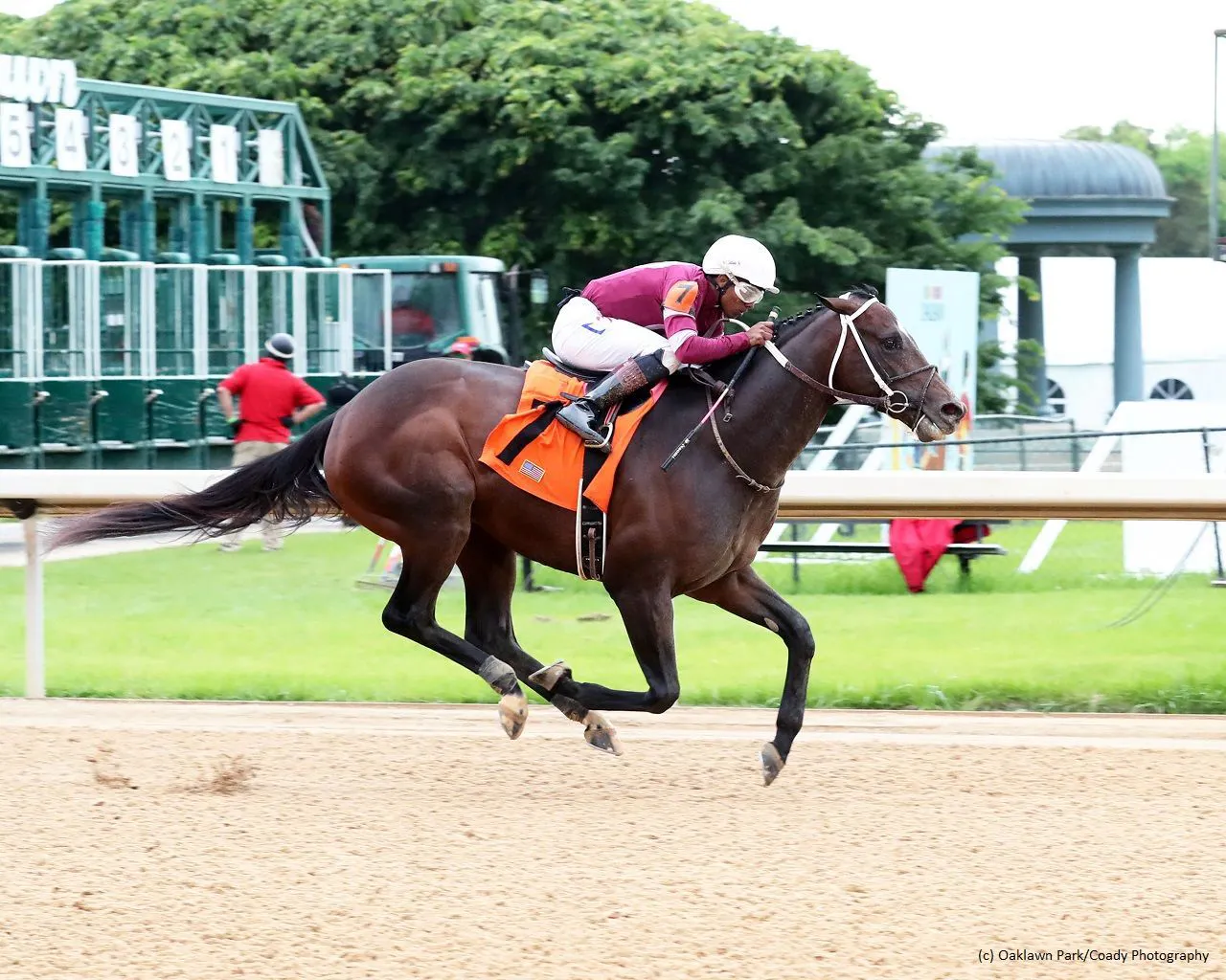 Matt Winn Stakes Tipsheet | TwinSpires