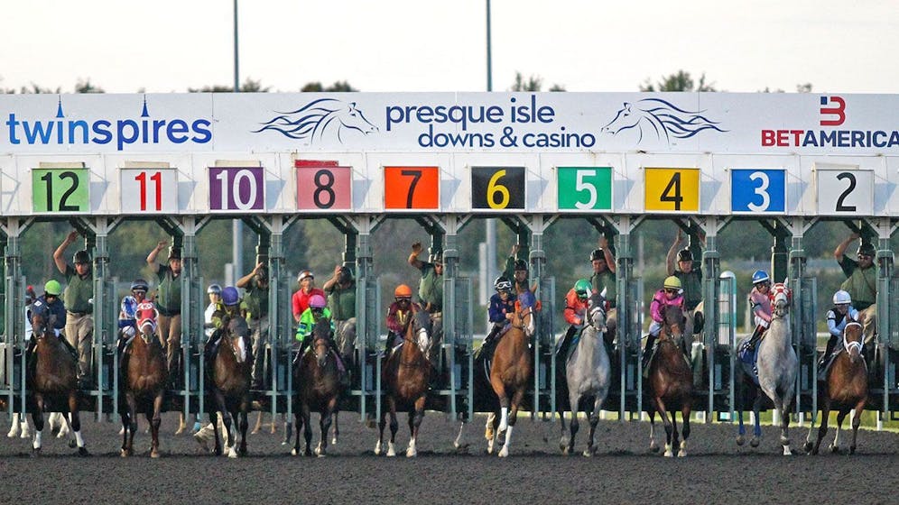 Best Bets and Quick Picks: T’ Ray can win Tapeta return | TwinSpires