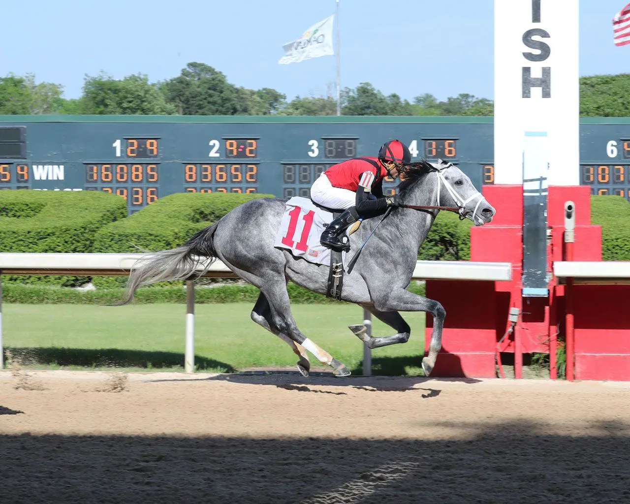 How to bet the Pat Day Mile Stakes | TwinSpires
