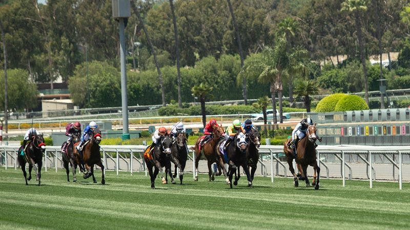 How to bet exacta and trifecta tickets in the Sensational St | TwinSpires