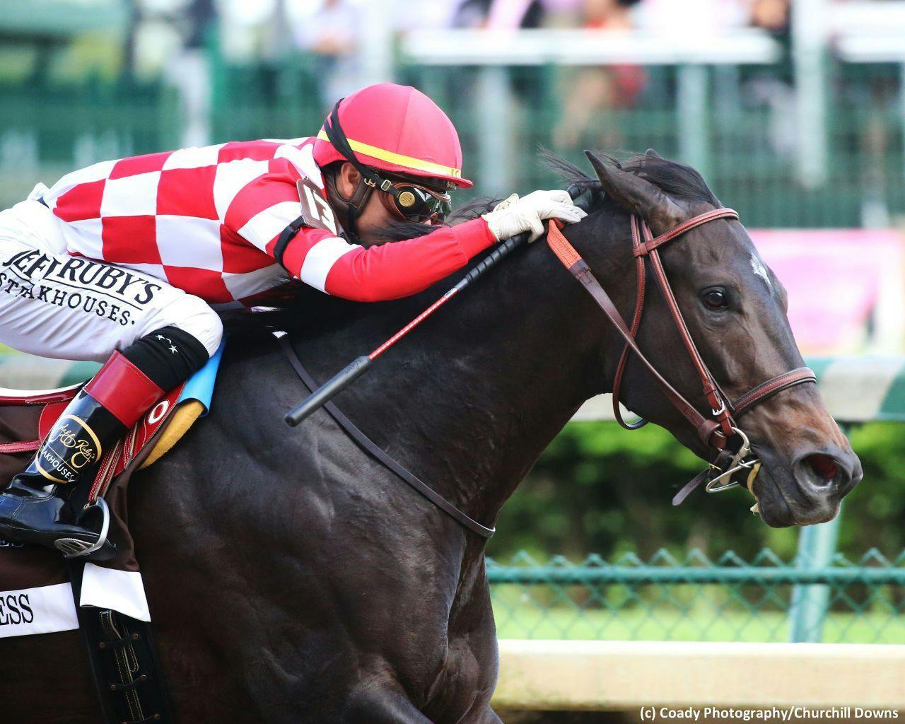 Iroquois Stakes and Pocahontas Stakes: By the Numbers | TwinSpires