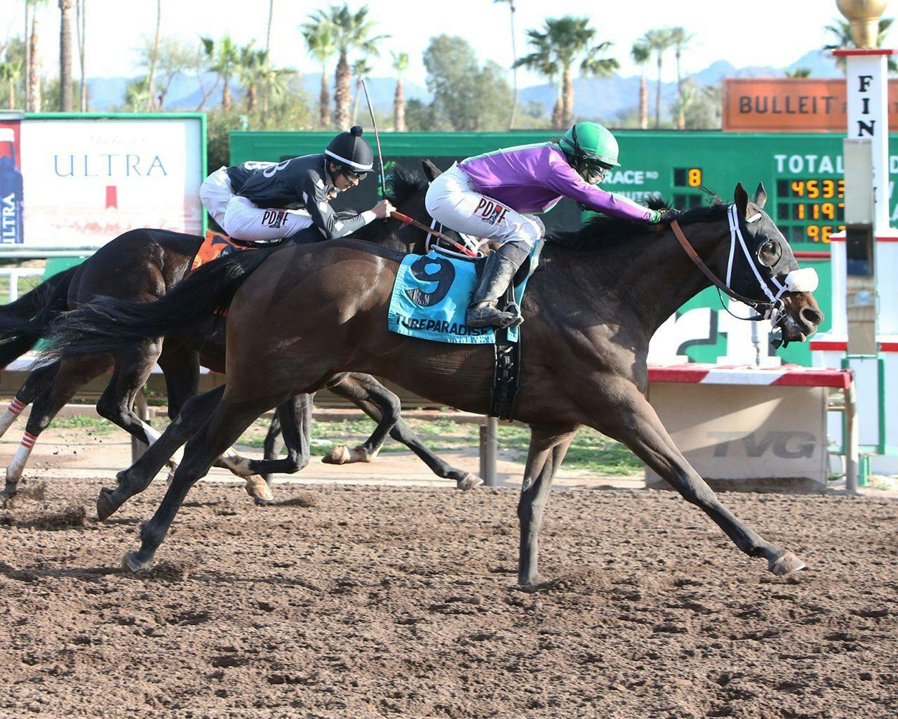 Monday’s Best Bets & Quick Picks: Turf Paradise opening day | TwinSpires