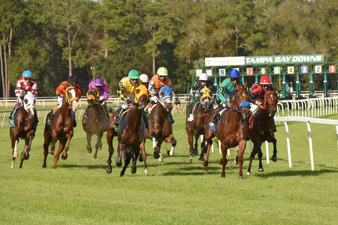 Holland's North American Racing Picks for May 6 | TwinSpires