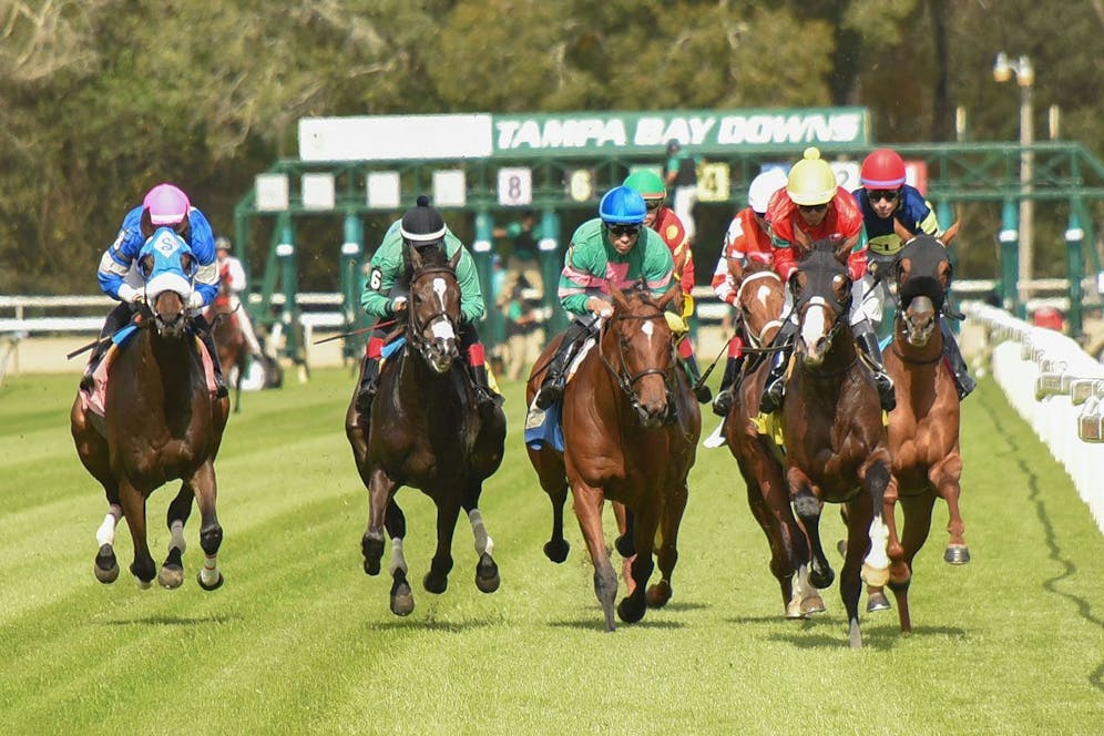 Betting Tampa's carryover, Gulfstream's mandatory payout | TwinSpires