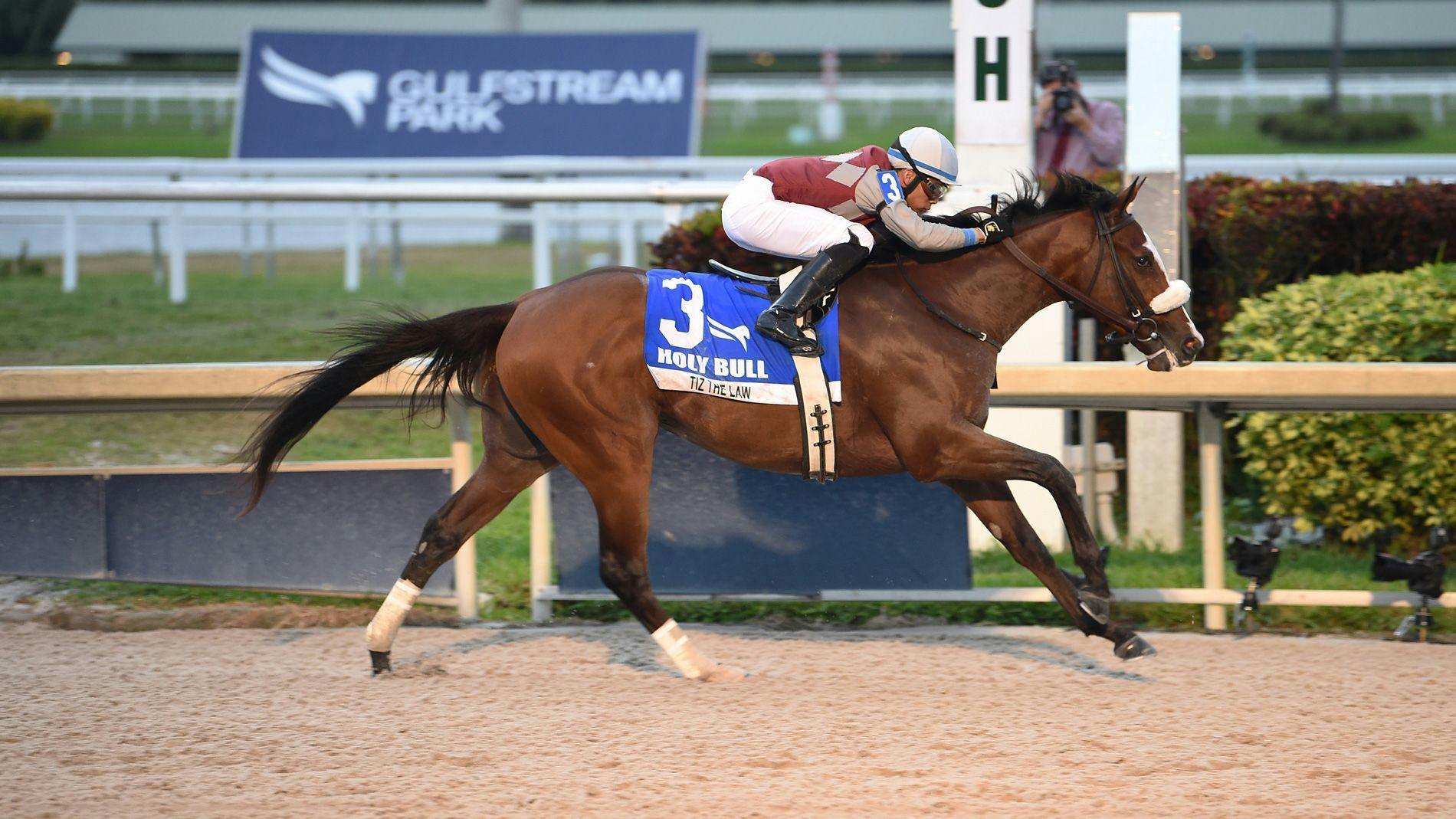 Scully: Playing the mandatory Rainbow Pick 6 at Gulfstream | TwinSpires
