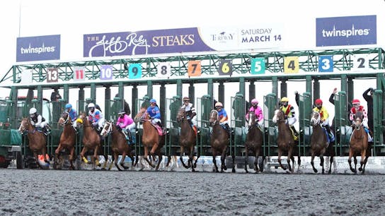 Horse Racing Betting | Bet Online with TwinSpires