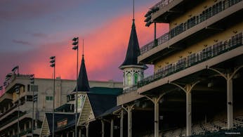 Horse Racing Betting | Bet Online with TwinSpires