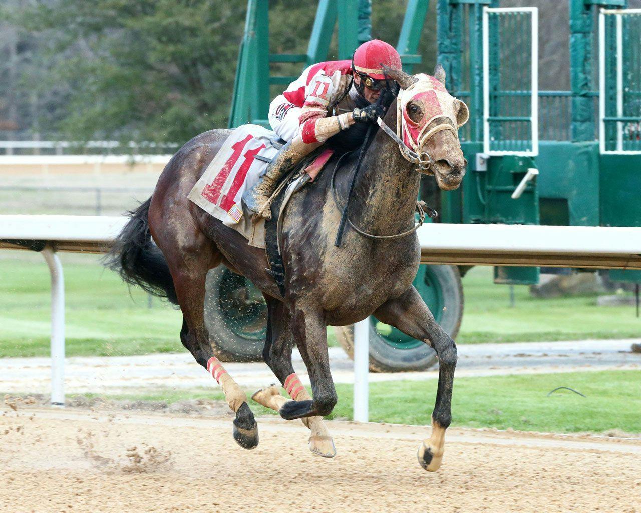 How to bet the Chilukki Stakes | TwinSpires