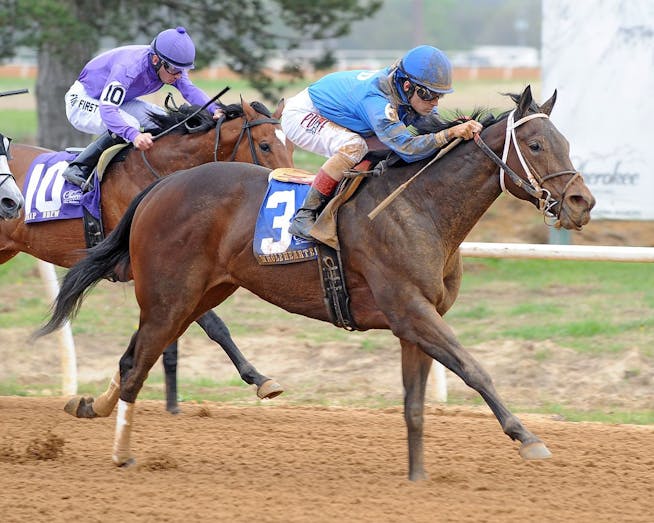 Horse Racing Betting | Bet Online with TwinSpires