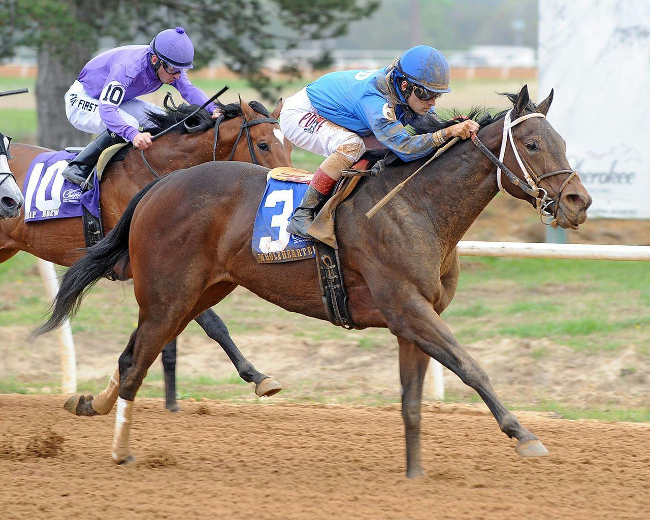 Monday’s Best Bets and Quick Picks: A couple of cold exactas | TwinSpires