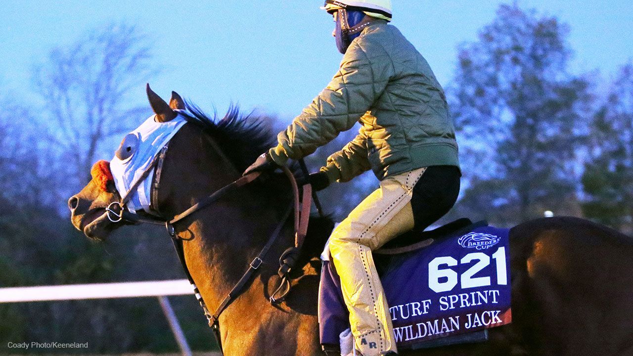Thoroughbred, Harness, Standarbred, Quarter Horse Racing | TwinSpires