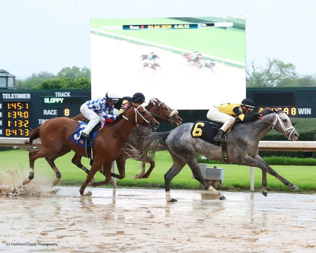 Kentucky Derby Pedigree Profile: Winning Impression | TwinSpires