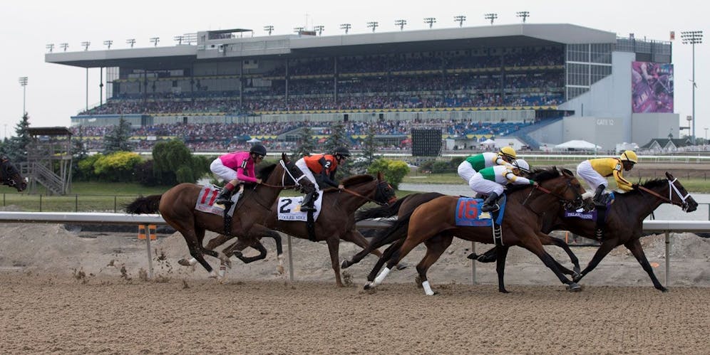 Exclusive Trackside Coverage: 2025 Kings Plate Day [VIDEO] | TwinSpires