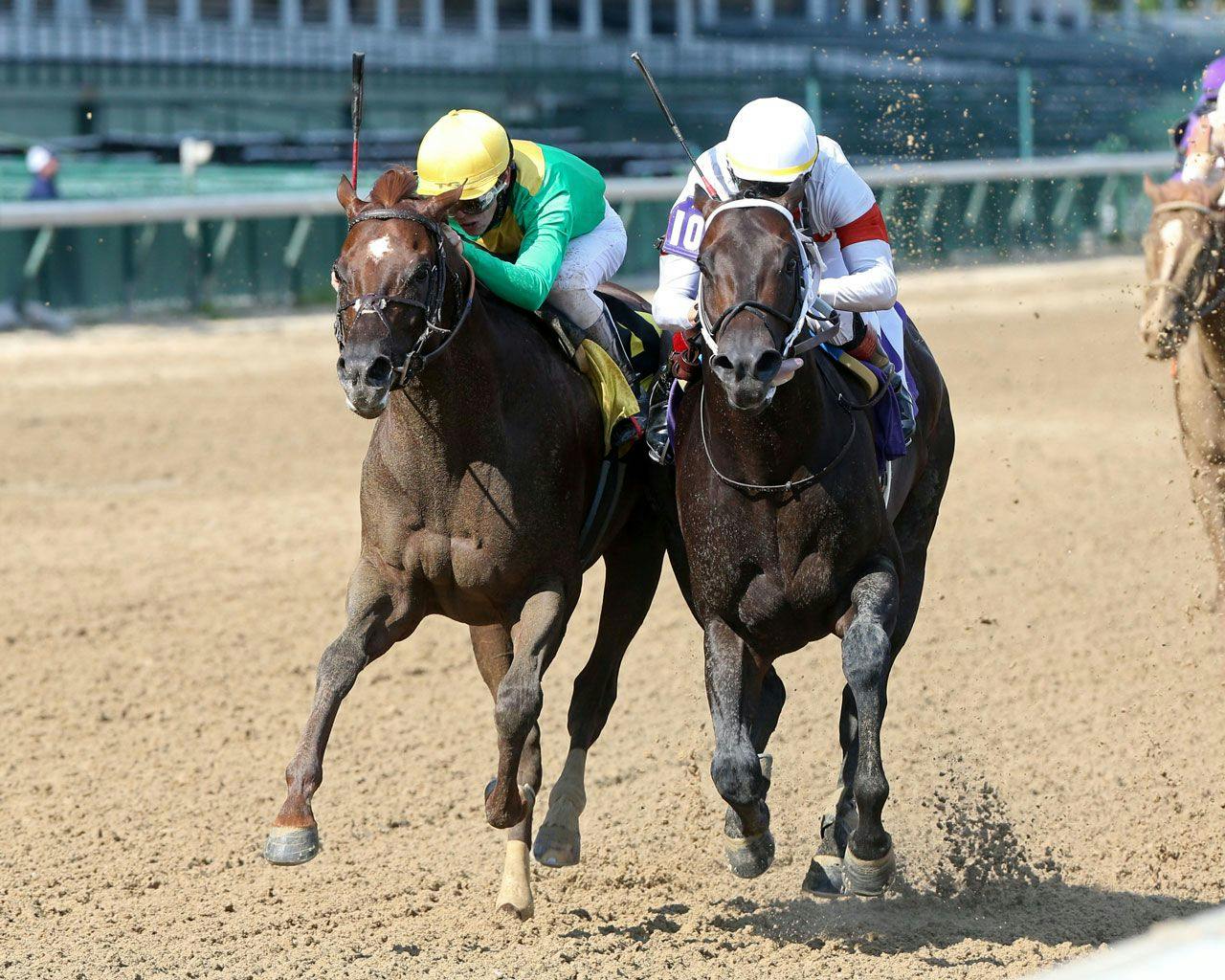 Thoroughbred, Harness, Standarbred, Quarter Horse Racing | TwinSpires