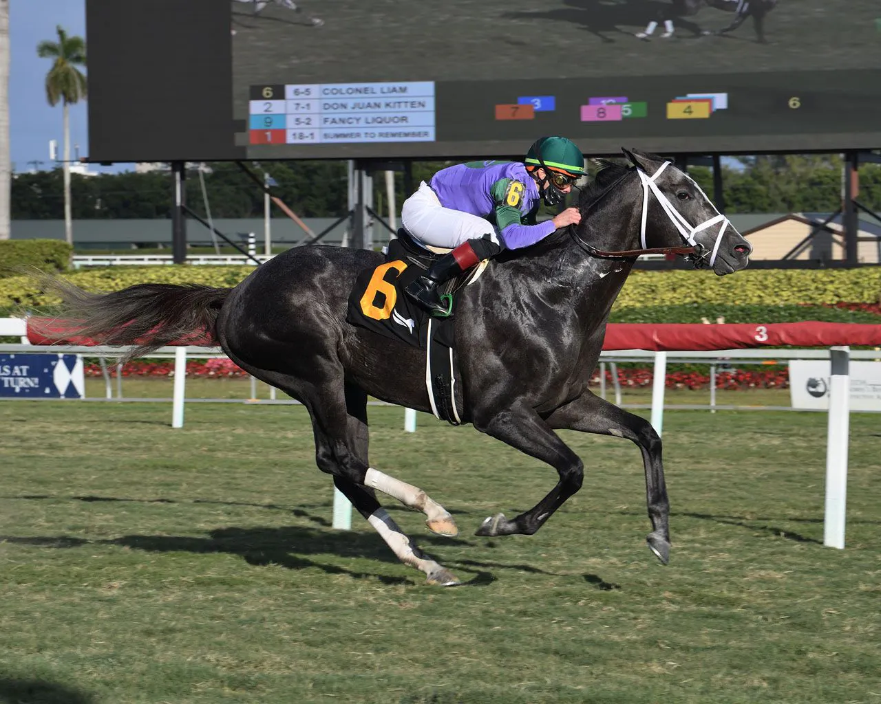 How to bet Gulfstream's $76,479 Rainbow Pick 6 carryover on | TwinSpires