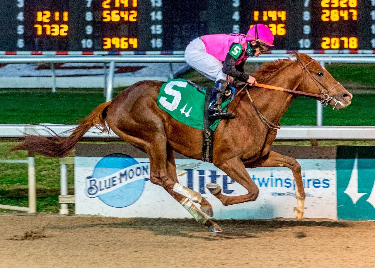 Kentucky Derby Maiden Watch: Defeater, Roman Centurian decis | TwinSpires