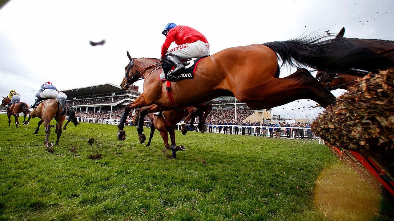 Cheltenham Festival 2023: Edwardstone to win Day 2 feature | TwinSpires