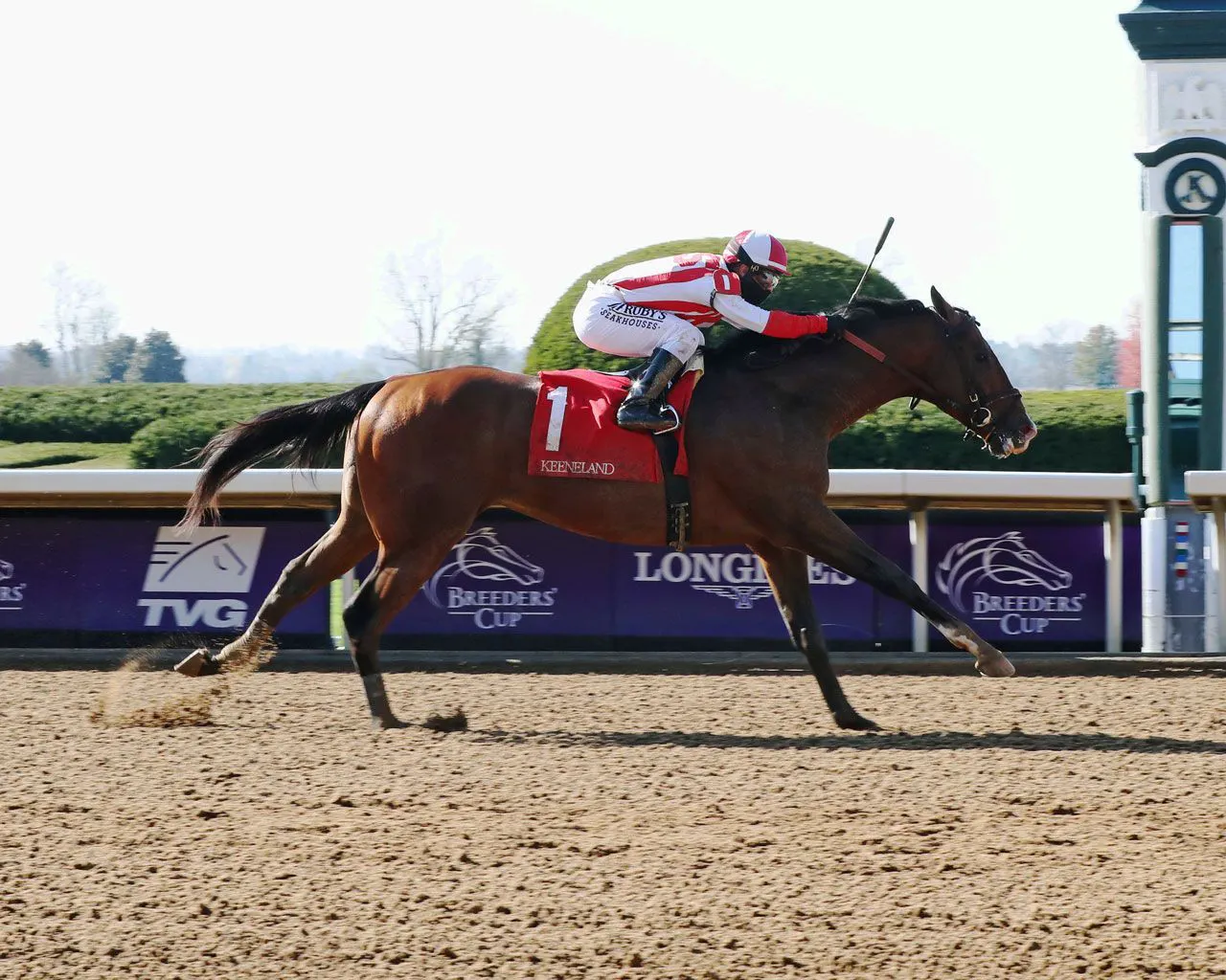 Kentucky Derby Pedigree Profile: Highly Motivated | TwinSpires