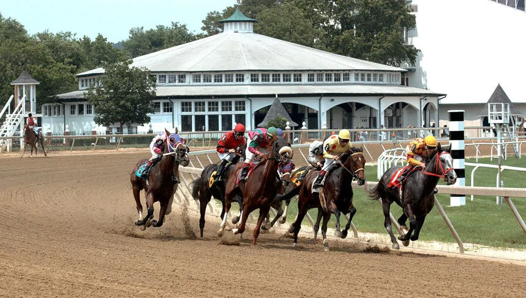 Laurel Park Race Track | Odds, Schedule, Picks | TwinSpires