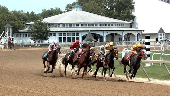 Laurel Park Race Track | Odds, Schedule, Picks | TwinSpires