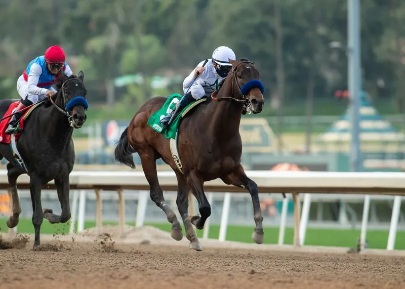 Kentucky Derby Pedigree Profile: Life Is Good | TwinSpires