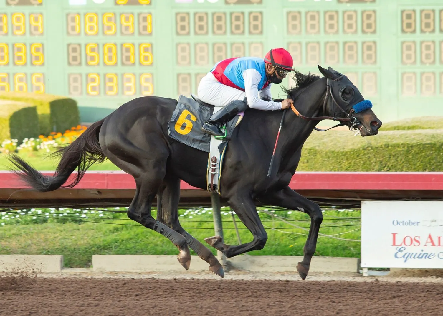 The Robert B. Lewis Stakes Tipsheet | TwinSpires