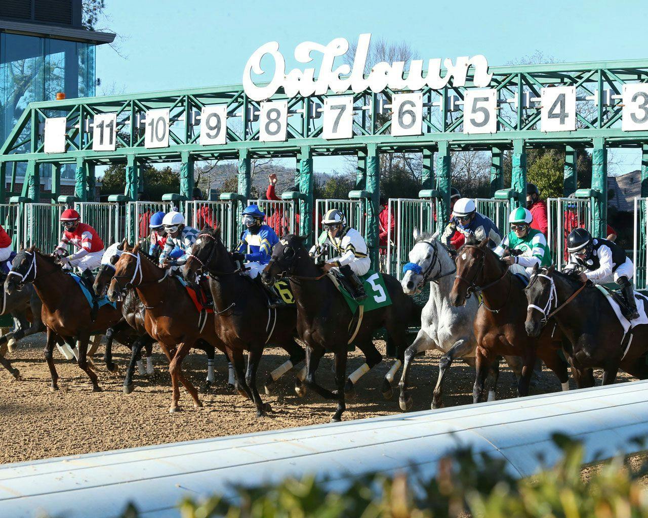 Southwest Stakes undercard plays for Oaklawn Park | TwinSpires
