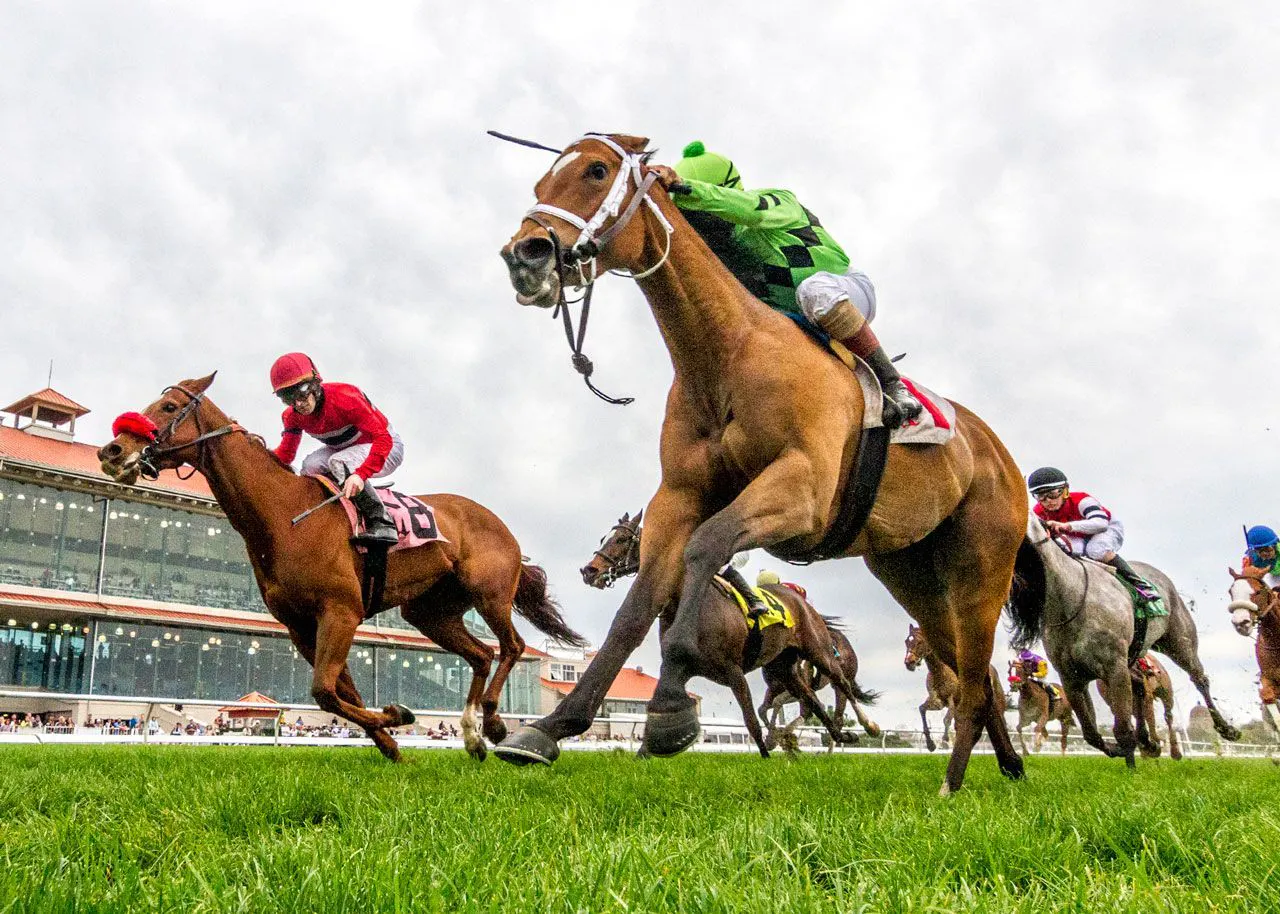 How to bet the Nelson J. Menard Memorial Stakes | TwinSpires