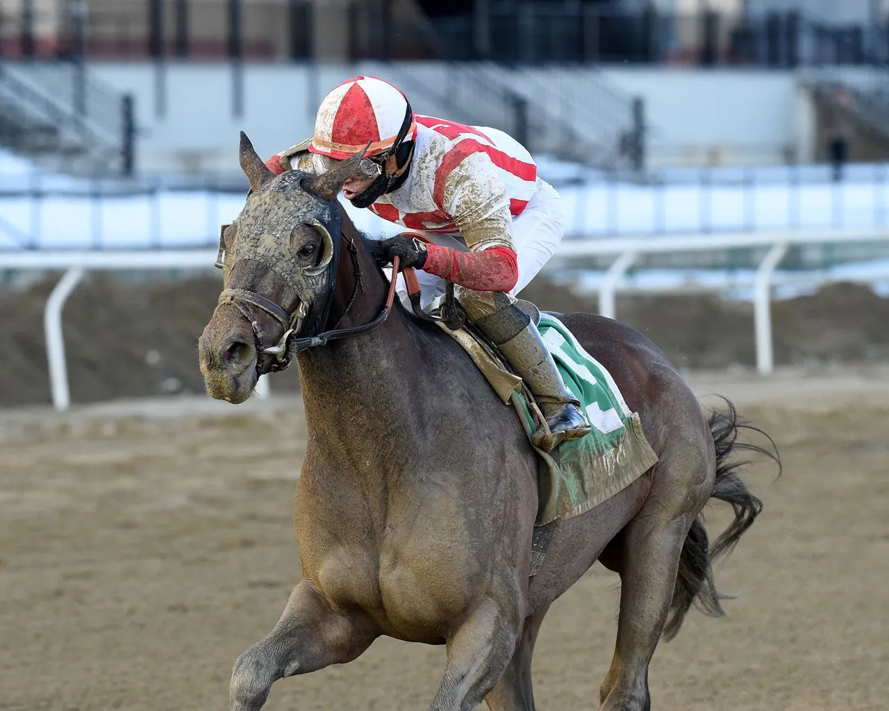 Kentucky Derby Pedigree Profile: Risk Taking | TwinSpires