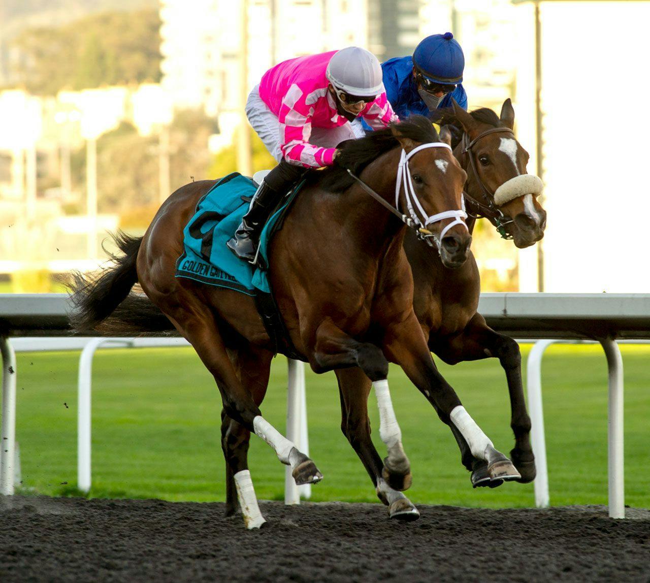 Carryover watch: $38,428 Pick 6 at Aqueduct; mandatory payou | TwinSpires